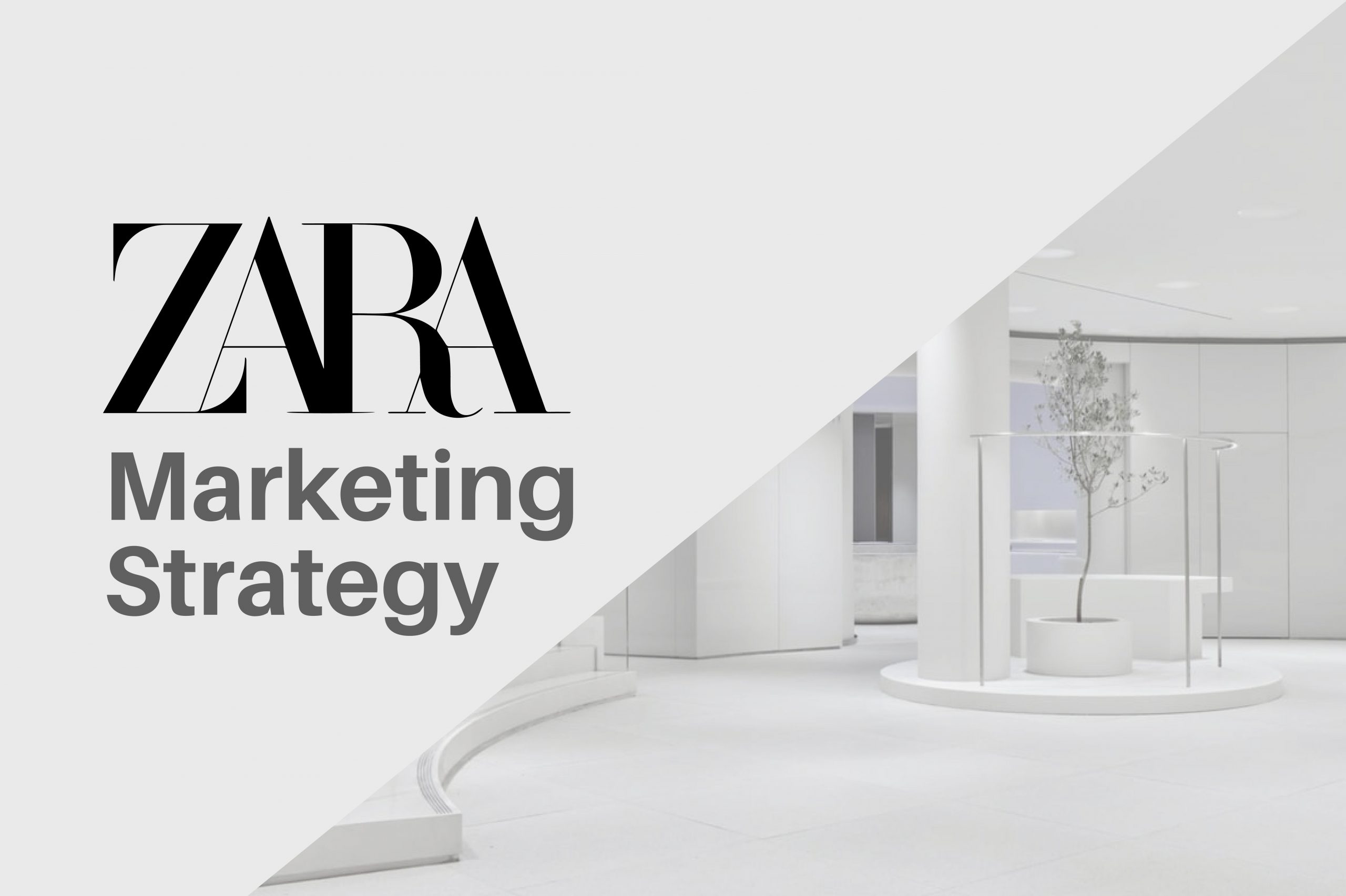 How ZARA Became The World s Largest Clothing Retailer CR8 Consultancy